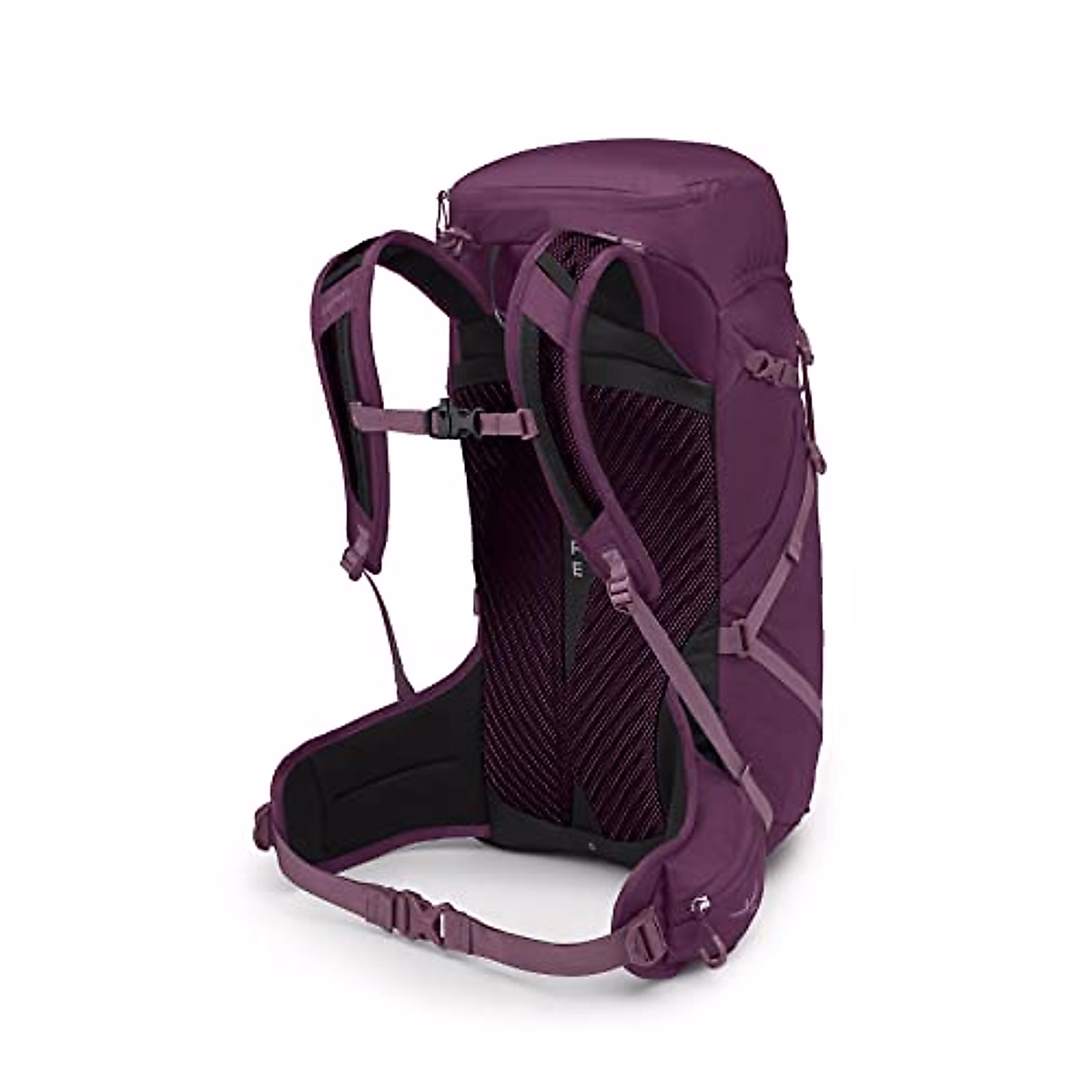 Osprey Sportlite 30L Unisex Hiking Backpack, Aubergine Purple, S/M