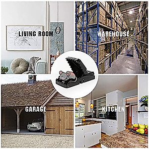 Mouse Traps,Mice Traps for House,Small Rat Traps That Work,Mice Killer Indoor Mouse Snap Traps No See Kill Mousetraps Quick Effective Mouse Catcher for Family and Pet-20 Pack