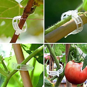 Tomato Clips, Plastic Trellis Clips, 100 Pcs Plant Support Clips, Grape Vine Tomato Vine, Garden Clips to Grow Upright Makes Plants Healthier for Tomato Cucumber Grape Vegetables Plants