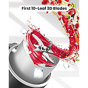 Elechelf Portable Blender for Shakes and Smoothies,Travel Blender USB Rechargeable,Cordless On the Go Blender,Personal Blender,Mini Blender,Small Blender ,Fast Fresh Juice Blender, Matte Black 12 oz 10 Blades