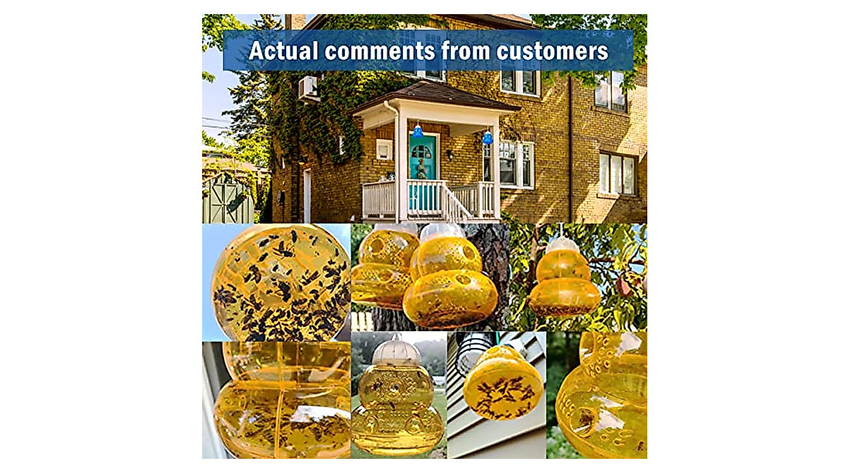 Effective 2 Pack Wasp Traps for Outdoor Use