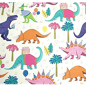 Dinosaur Party Gift Wrapping Paper Roll - 24" x 15'