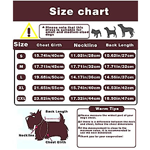 Fantasy Era Funny Dog Christmas Outfits Costume Cat Hoodie Cosplay Party Clothes for Small Pet (Red, XX-Large)