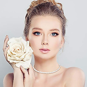 Hicarer Seed Bead Choker Necklace Tiny Beaded Choker Boho Colorful Choker Necklace Chain Jewelry for Women, Adjustable 12-16 Inches (Color Set 1, 8 Pieces)