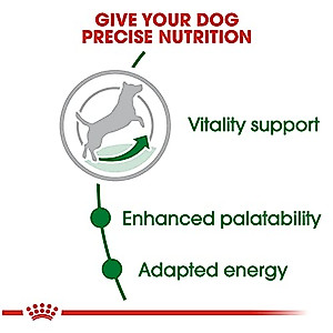 Royal Canin Small Adult 8+ Dry Dog Food, 13 lb bag