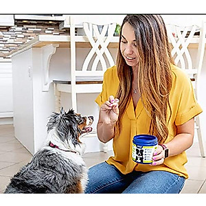 Vetericyn All-in 1 Multifunctional Dog Supplement | Digestive Enzymes + Glucosamine and Chondroitin for Bone and Joint Support + Vitamins, Antioxidants, Prebiotics, Probiotics, and Omegas. 90 Count