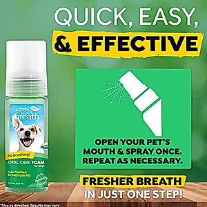TropiClean Fresh Breath Foam for Dogs & Cats | Travel-Ready Dog Breath Freshener Foam for Stinky Breath | Made in the USA | 4.5 oz