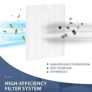 Mchillnet 2 Pack C545 Replacement HEPA Filters Compatible with Winix C545 Air Cleaner Purifier, Ture HEPA Filter S, Part number 1712-0096-00, 4 True HEPA Filters