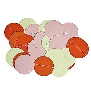 Orange Fall Party Hanging Decorations Thanksgiving Party Ceiling Hangings Wedding Decorations Tissue Paper Pom-Poms Tassel Garlands Baby Shower Birthday Party Decorations