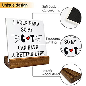 QiCHo Inspirational Sign For Desk, Fun Office Decorations, Gifts For Cat Lovers, Novelty Birthday Gifts, Office Positive Plaque, Xmas Present - I Work Hard So My Cat Can Have A Better Life, With Wooden Stand