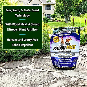 Nature's MACE Rabbit Repellent 30lb Granular/Treats 19,000 Sq. Ft. / Rabbit Repellent and Deterrent/Keep Rabbits Out of Your Lawn and Garden/Safe to use Around Children & Plants