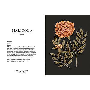 Floriography: An Illustrated Guide to the Victorian Language of Flowers (Volume 1) (Hidden Languages)