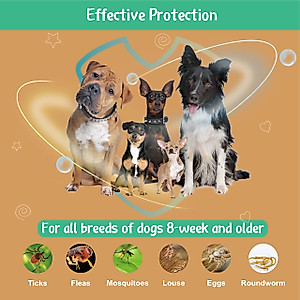 Advanllent Flea and Tick Prevention for Dogs, Flea and Tick Treatment for Extra Large Dog, Natural Essential Oil, Flea & Tick Control, 89-132 Pounds, 3 Doses