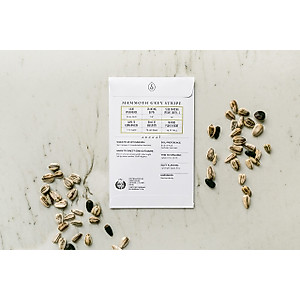 Sereniseed Certified Organic Mammoth Grey Stripe Sunflower Seeds (2-Pack) – 100% Non GMO, Open Pollinated – Guide for Indoor & Outdoor Garden Planting