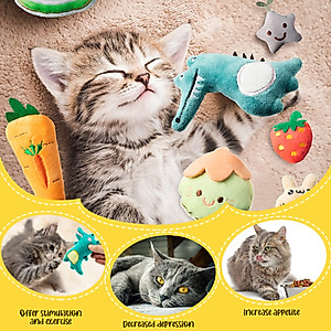Jadive 50 Pcs Catnip Toys for Indoor Cat Plush Cats Toys Bulk Interactive Catnip Filled Kitten Toys Cat Chew Toy Pet Cats Supplies