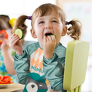 R HORSE 5Pcs Long Sleeved Bib for Babies Toddlers Waterproof Sleeved Bib with Great Capacity Pocket Cartoon Baby Bib Infants Feeding Bibs with Elephant Bear Fox Pattern for Baby Shower Age 6-36 months