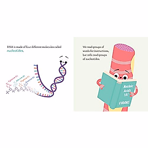 Baby Biochemist: DNA: Discover the Amazing Science Behind Your Body's Molecular Instructions! (Human Body Books, Science Gifts, Medical Books for Kids) (Baby University)