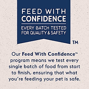 Natural Balance Limited Ingredient Adult Grain-Free Dry Cat Food, Chicken & Green Pea Recipe, 10 Pound (Pack of 1)