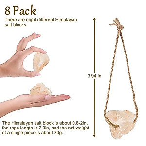 Himalayan Small Pets Lick Salt Block on Rope Natural Small Animal Mineral Salt Block Chew Toys with Hanging Rope Rabbit Mineral Salt Chew Treat Supplies for Bunny Chinchilla Hamster Ferret (8PCS)