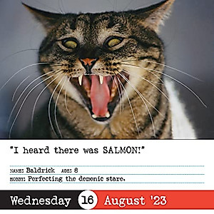 Bad Cat Page-A-Day Calendar 2023: 365 Not So-Pretty Kitties