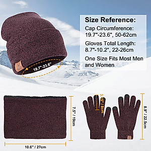 MAYLISACC Winter Hat Scarf and Glove Set for Women, Wine Red Warm Ladies Beanies Loop Scarves and Touchscreen Gloves