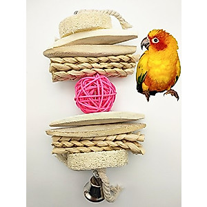 Hypeety Bird Parrot Cuttlebone Toy Bird Chew Toy Colorful Rattan Ball Toy Safe and Fun for African Grey, Amazon Conure Cockatoo Macaw Cockatiel