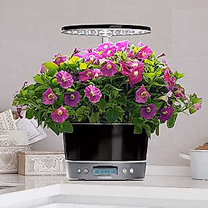 AeroGarden Harvest Elite 360 with Gourmet Herb Seed Pod Kit - Hydroponic Indoor Garden, Platinum Stainless