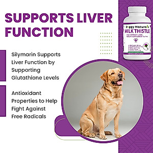 Milk Thistle for Dogs with High Potency Liver Health Supplement for Pets (120 tabs)