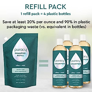 Puracy Shampoo and Conditioner Set, Sulfate-Free, Hair Stays Clean and Silky Longer with LexFeel N5, Color-Safe, 16 Ounce (2-Pack) (12 Fl Oz (Pack of 2))