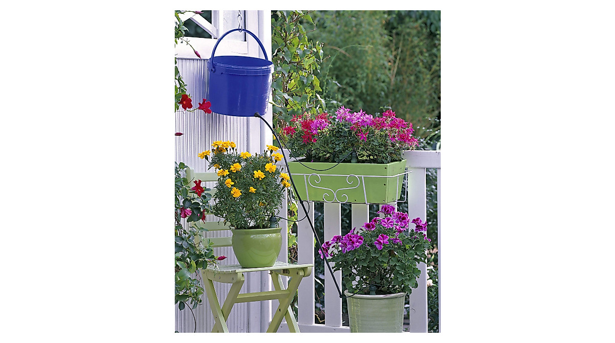 Blumat Drip Irrigation System for 12 Plants - Automate Watering