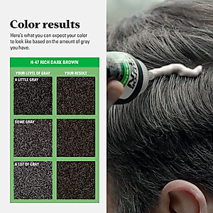 Just For Men Shampoo-In Color (Formerly Original Formula), Mens Hair Color with Keratin and Vitamin E for Stronger Hair - Rich Dark Brown, H-47, Pack of 1