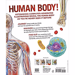 Knowledge Encyclopedia Human Body! (DK Knowledge Encyclopedias)
