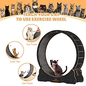 Homegroove Cat Exercise Wheel for Indoor Cat, 40" Large Cat Running Wheel with Carpeted Runway, Cat Treadmill Wheel for Kitty’s Longer Life, Cat Wheel for Fitness Weight Loss Device, Black(L)