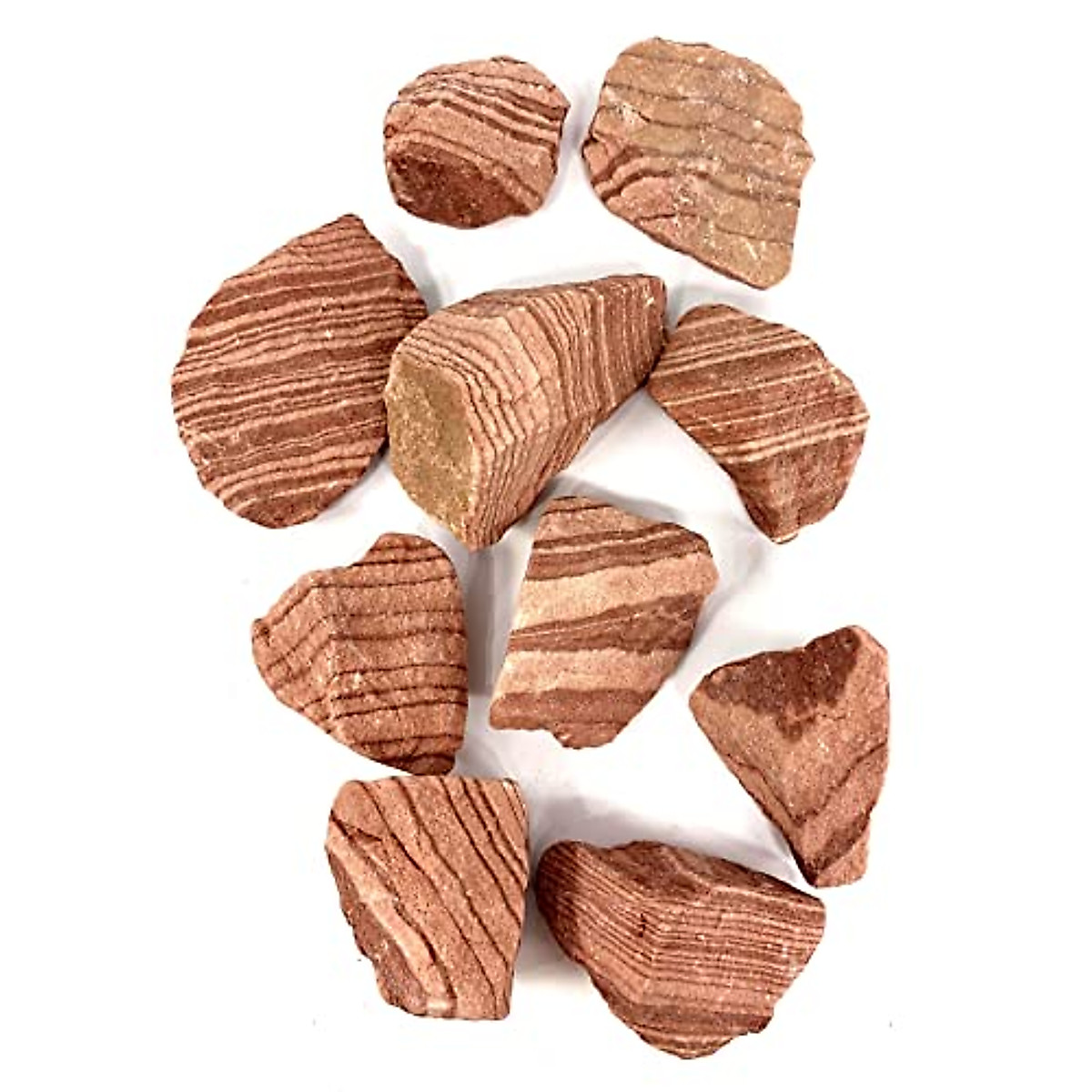 Sandstone Sedimentary Rock, w/Banding - 10 Unpolished Rock Specimens