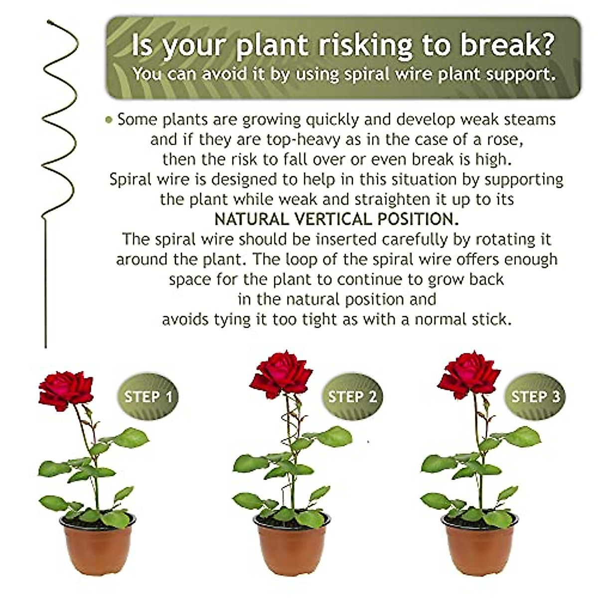 Stem Plant Support Stakes – 16 inches 3X Single Stem Flower Stakes and 3X Spiral Support for Climbing Plants Garden Stakes and Support for Potted Plants Rose Orchid Lily Dahlia Clematis Ipomoea