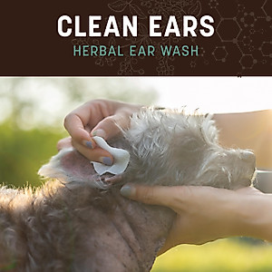 Earth Animal Herbal Remedies | Clean Ears Ear Wash | 4 fl oz