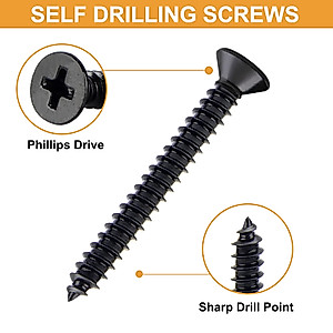 VIGRUE 175 Pcs #8 Wood Screws Black Oxide Coated Stainless Steel Flat Head Phillips Drywall Screw Assortment Kit, Self Tapping Screws Kit