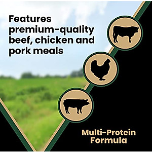 Victor Super Premium Dog Food – Performance Dry Dog Food – 26% Protein for Active Adult Dogs – Includes Glucosamine and Chondroitin for Hip and Joint Health, 5lbs