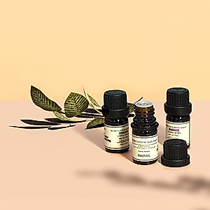 Dionel Secret Love Sea & Blossom inner perfume fragrance oil for underwear women Long-lasting feminine Nonchalant sea scent 5ml 0.17fl.oz