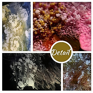 White & Black Alcohol Ink Set - 4 Ounce White and Black Alcohol-Based Inks for Resin Petri Dish Making, Epoxy Resin Painting, Yupo Paper - Alcohol Paint Color Dye for Resin Art, Tumbler - 60ml Each