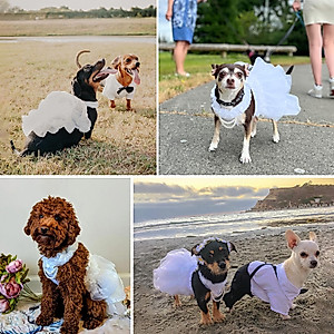 SHIAOMIN Dog Wedding Dress Bride Outfit with Pearl Necklace and Rose Pet Princess Dress Apparel for Puppy Dog Cat (Large)