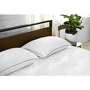 Sleep Innovations Shiloh Medium Memory Foam Mattress, 14 Inches, Queen & Premium Shredded Gel Memory Foam Pillows, Queen (Pack of 2)