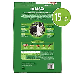 IAMS Proactive Health Adult Minichunks Dry Dog Food with Real Chicken, 15 lb. Bag