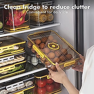 Egg box Fridge Storage Containers, Premium Refrigerator Organizer Bins with Lids Date and Time Display Stackable Freezer Organizers Fresh Lettuce Keeper Drawer Basket for Food Fruit Vegetables