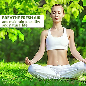 1 Ozone Plate for Alpine Ecoquest Living Air Purifiers (1)