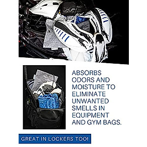 Bamboo charcoal air purifying bag | 2 HEAVY-DUTY, LARGE FLAT (2x350g) CHARCOAL BAGS odor absorber | Activated bamboo charcoal bags | Odor eliminator for strong odor| Charcoal odor absorber