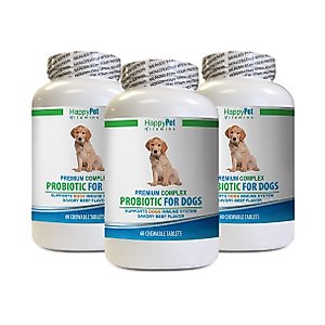 HAPPY PET VITAMINS LLC Dog Digestive Support Powder - Dog Premium PROBIOTICS - Savory Beef Flavor - Stops Diarrhea Bad Gas Bad Breath - Gut Health - Dog Bad Breath Remover - 3 Bottles (180 Treats)