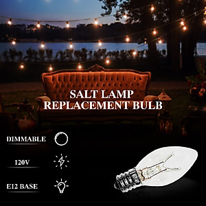 Himalayan Glow ‎Incandescent Light 40-Watt Himalayan Salt lamp Bulb, 6 Count