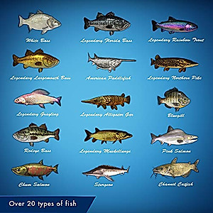 Legendary Fishing - Nintendo Switch Standard Edition