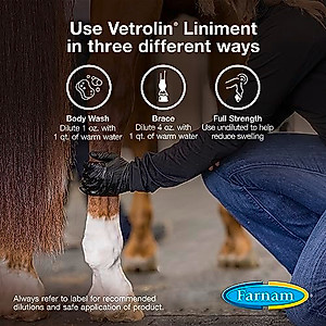 Farnam Vetrolin Horse Liniment for Muscle Soreness, Stiffness and Inflammation Relief on Horses, Helps Reduce Swelling, Aids in Pain Relief, 32 Oz.